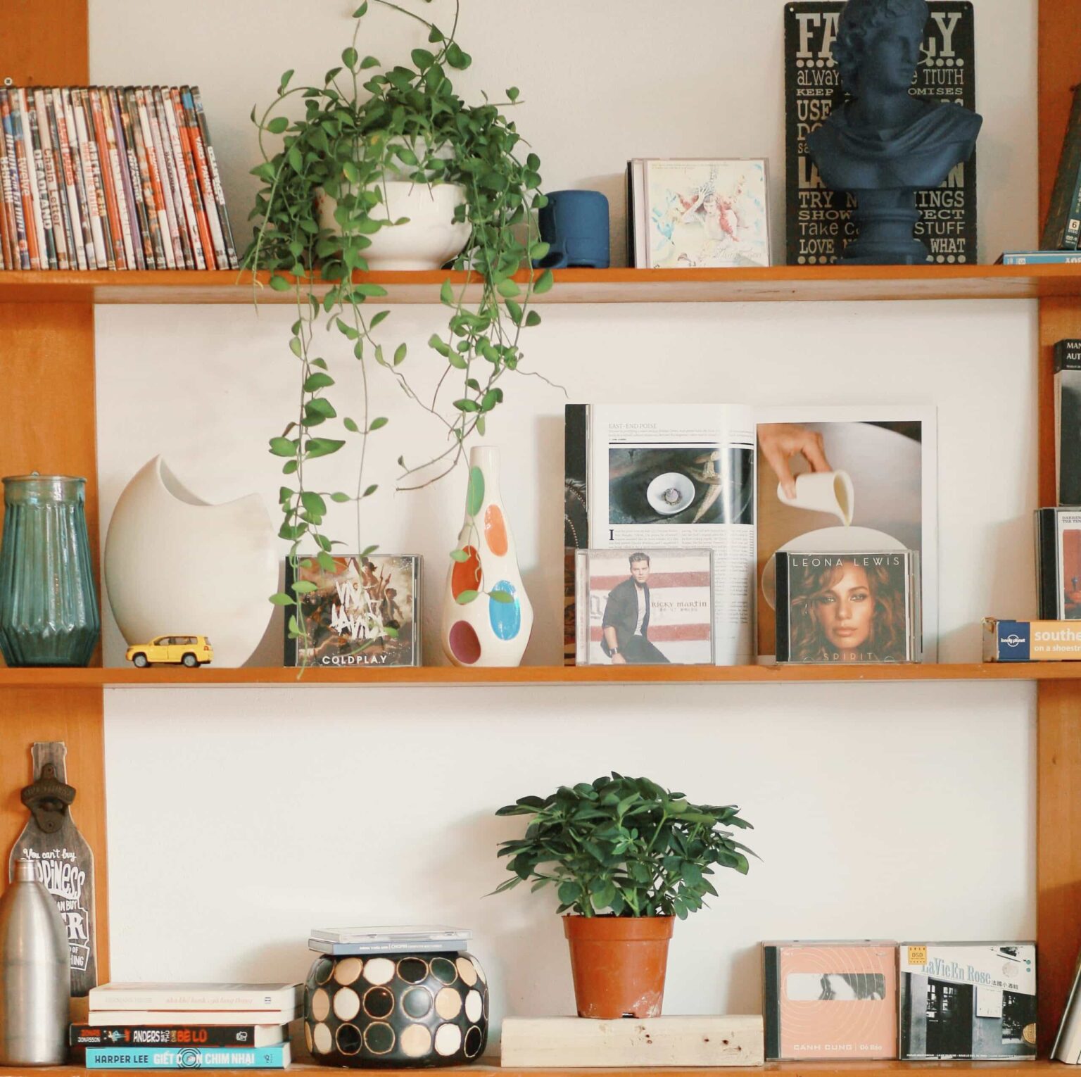 Living Room Shelves & Wall Shelving Units | Top Shelf UK